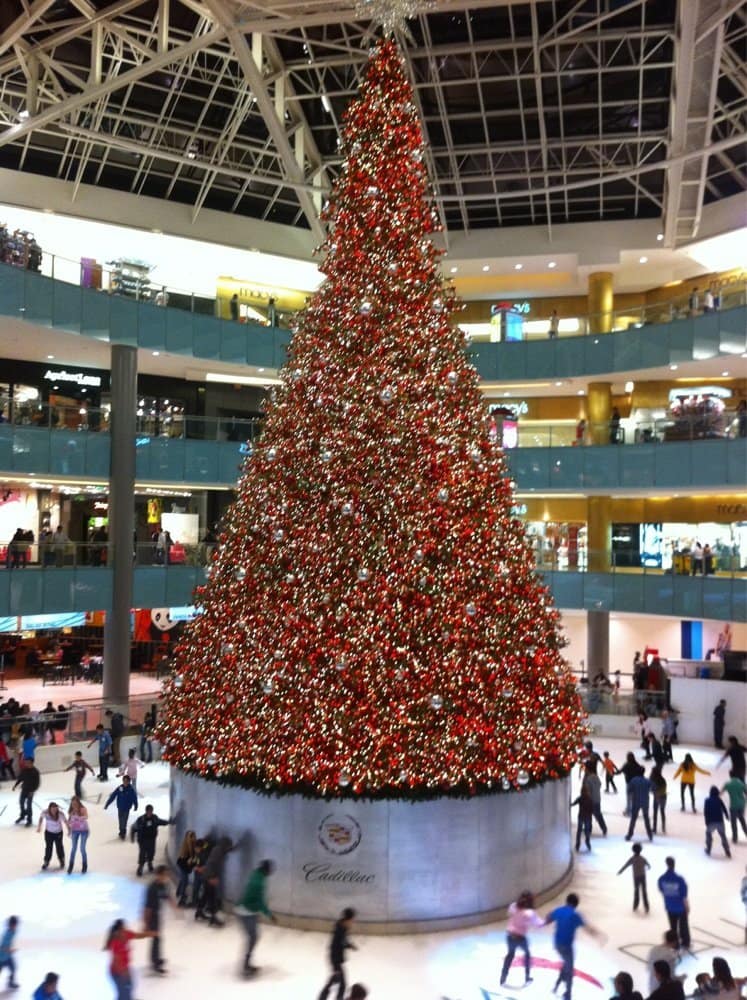 Family Fun in Dallas, Texas | Family Vacations U.S