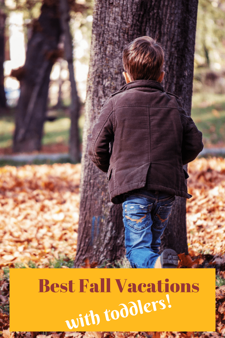 Best Fall Vacations With Toddlers Family Vacations U S best-fall-vacations-with-toddlers-family-vacations-u-s