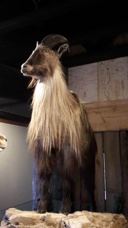 Ark Encounter | Kentucky | Family Vacations U.S.