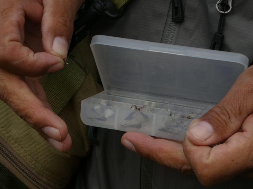 Activities at Rawah Ranch | Dude Ranch | Family Vacations U.S