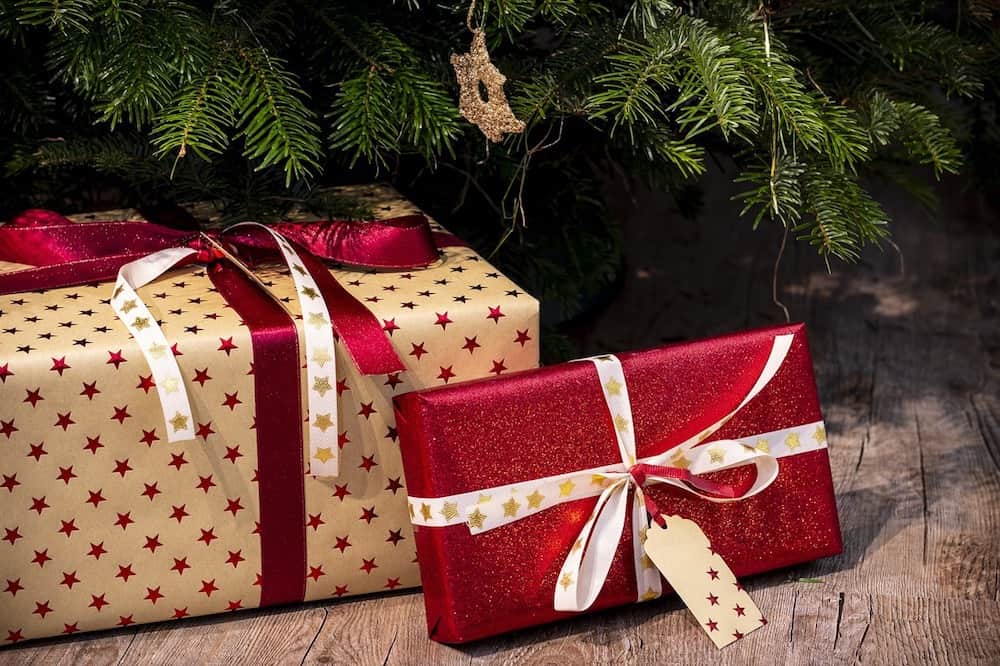 A Few of Our Favorite Holiday Gifts - Family Vacations US
