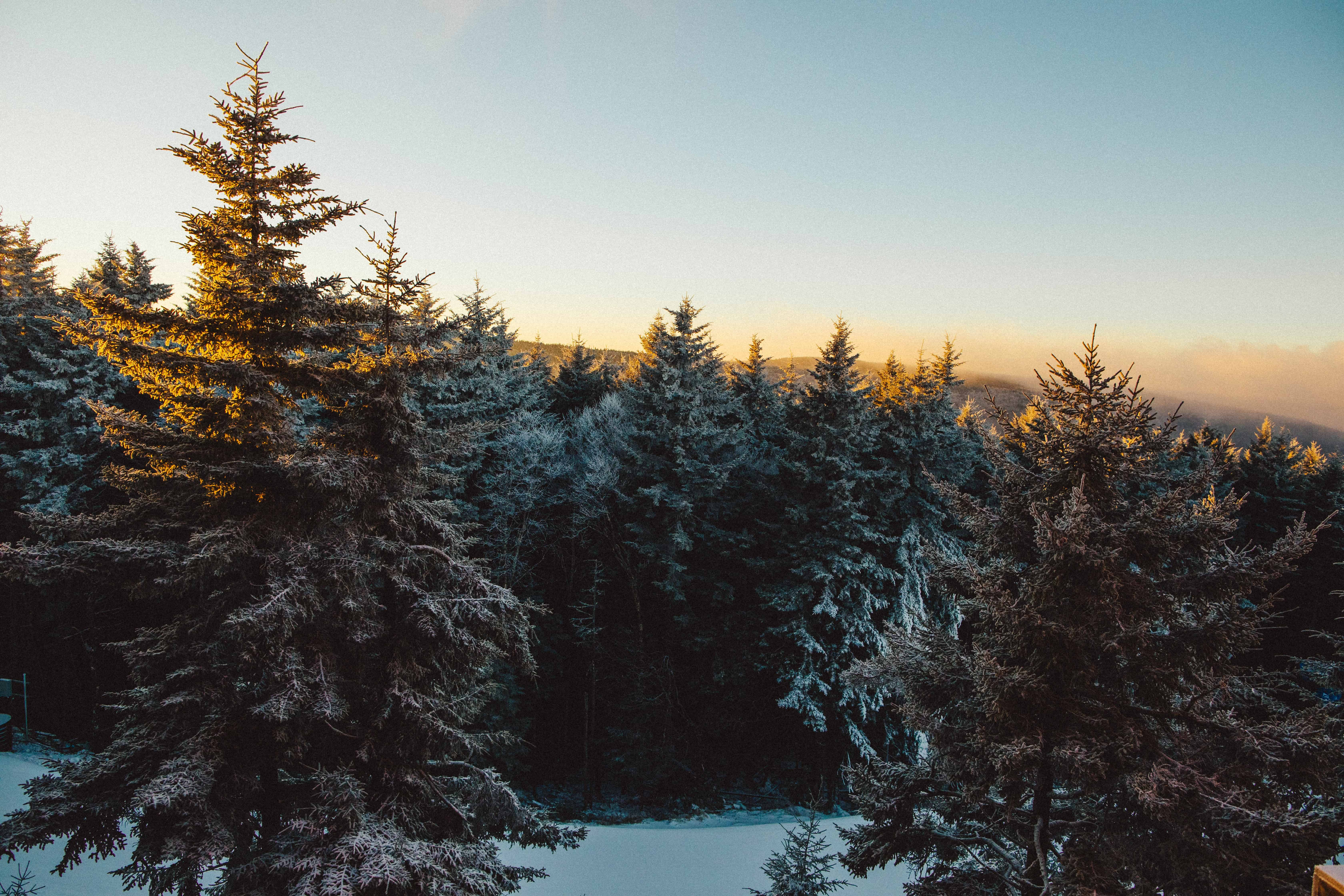 Ski Resorts in West Virginia | Family Vacations US
