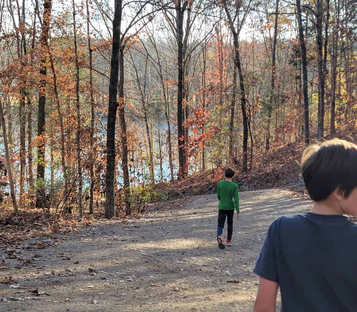 Hiking Trails in the North vs. the South: Which is Best for You ...