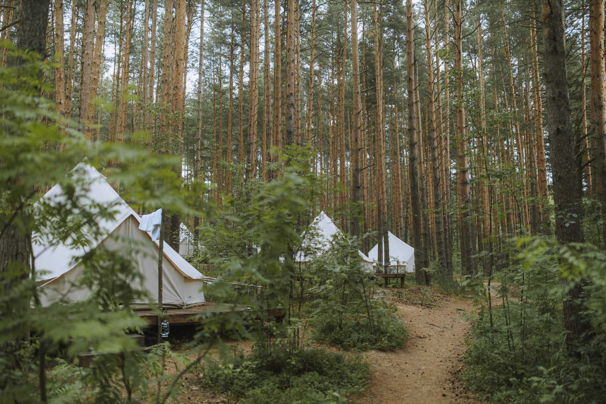Glamping Galore: The Rise of Luxury Camping and How It's Changing Our ...